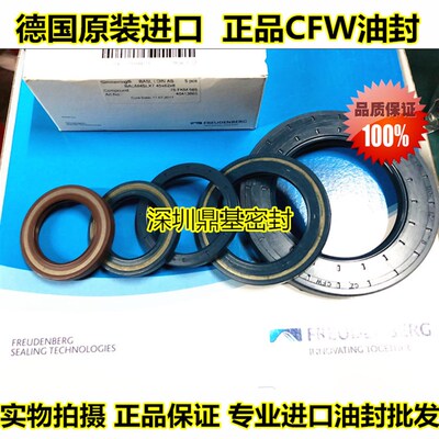德国进口CFW骨架油封BAU5SLX2 70-90-10 95-145-13 82-160-13/10