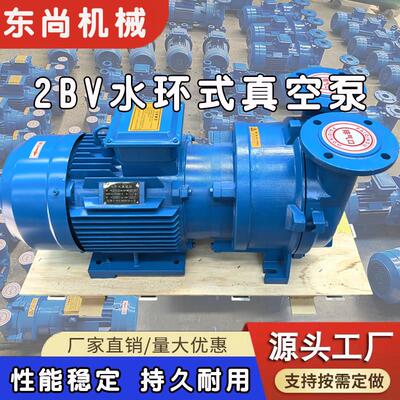 厂家直售2BV水环式真空泵SK系列耐腐蚀高真空抽气泵雕刻机开 料机