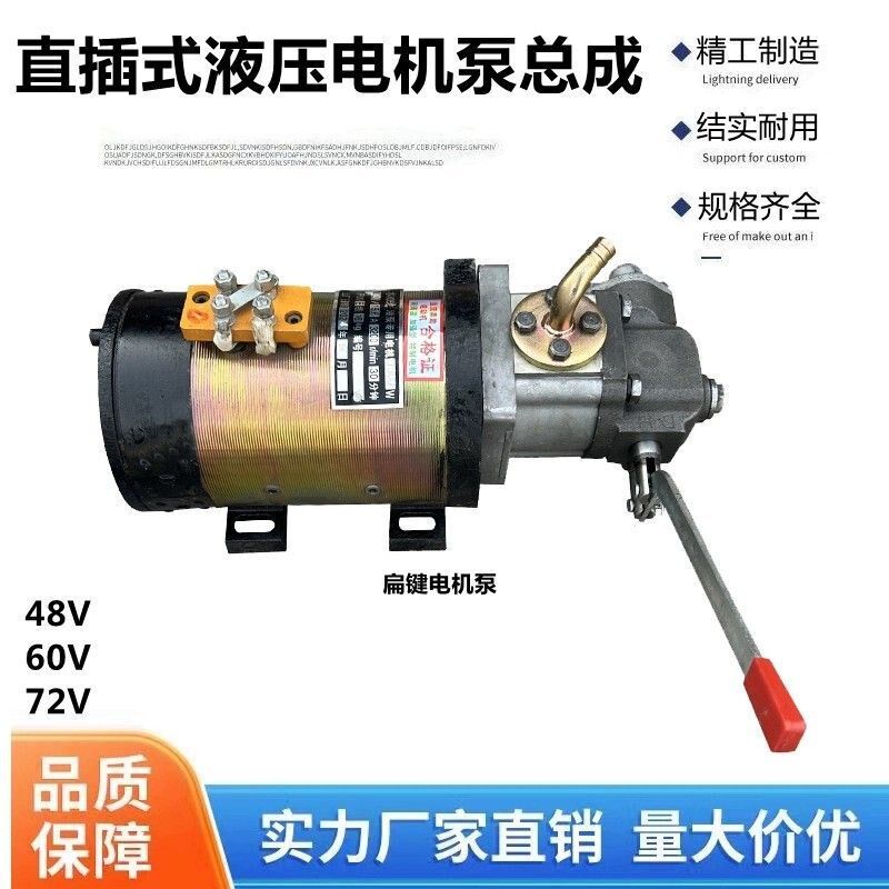 电动三轮车48V60V72V有刷电机改装自卸翻斗油泵直插式液压帮浦电