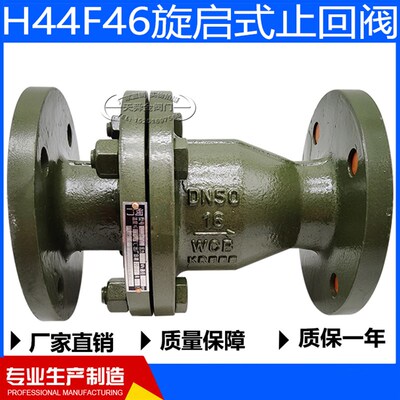 铸钢衬四氟旋启式止回阀H44F46-16C单向阀防回流耐腐蚀逆止阀