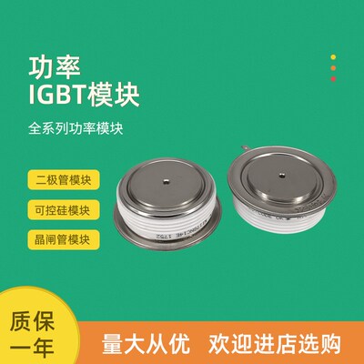 平板可控硅晶闸管T509N18TOF T568N02TOF T568N04TOF T568N06TOF