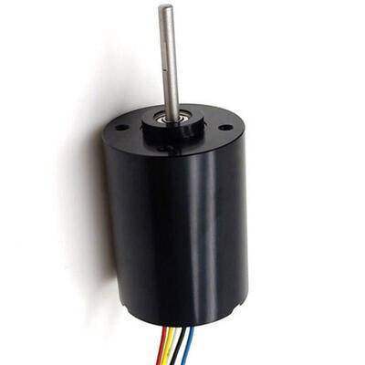 3047直流无刷电机12V24V内置驱动或霍尔驱动小家电无刷马达工厂
