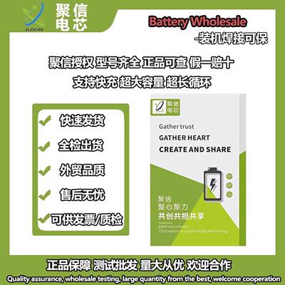 SE2 SE3 X XS MAX XR 11 12 13 14 15 PRO mini 聚信超容电芯移植