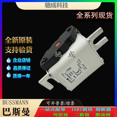 巴斯曼170M5968 170M5969 170M5970 长期优价供应 快速保险丝