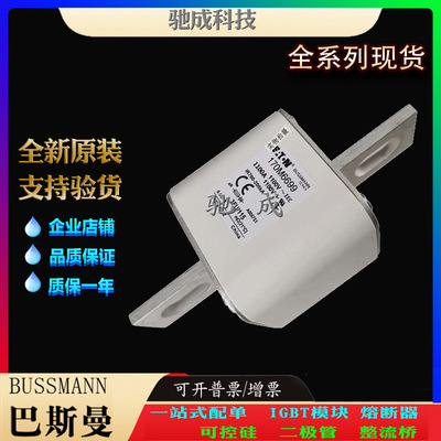 巴斯曼170M6699170M6700170M6701厂价供应批零兼营紧凑熔断器
