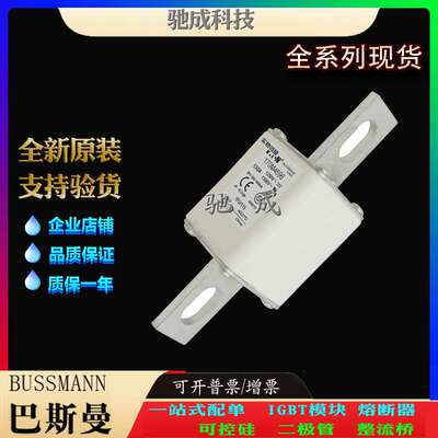 巴斯曼170M4696 170M4697 170M4699 现货直销 零售 快熔保险丝