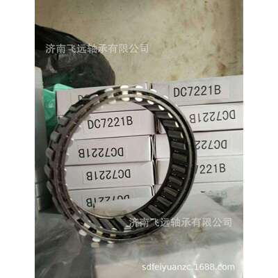 单向锲块轴承BW13168 BW13255 电动滚筒轴承X-135006 BWC13236