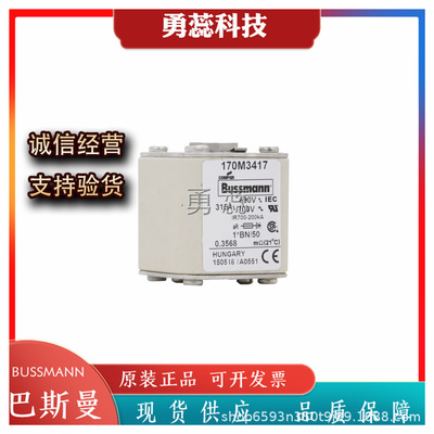 保险丝熔断器170M7126/3951