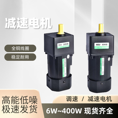 小型交流齿轮减速电机220V变速