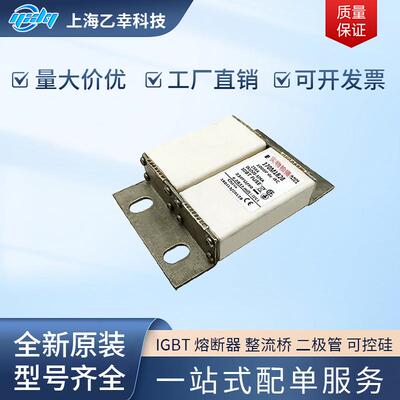 巴斯曼熔断器 170M1827 170M1828 170M1829 170M1830 170M1831