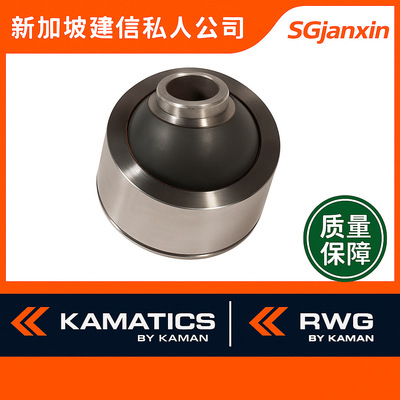 德国进口RWG轴承FMGB系列