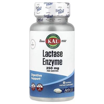 KAL乳糖酶乳糖不耐肠道健康膳食补充剂