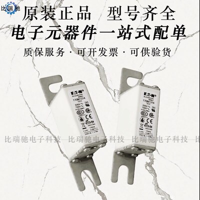 170M1313 170M1314 170M1315 170M1316 170M1317 Bussmann熔断器