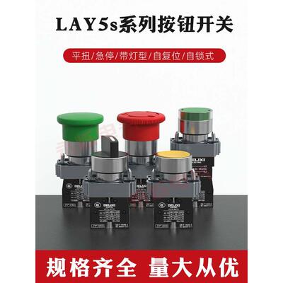 德力西金属头点动按钮开关LAY5s-BA31二三档旋转自锁NP2-BD21急停