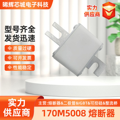 170M5008/170M3416快熔现货直拍
