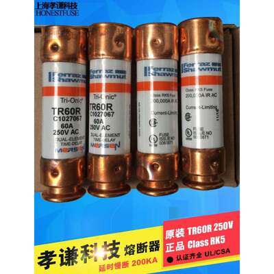 Ferraz美尔森陶瓷熔断器熔芯mersen延时保险丝TR60R 60A慢断250V