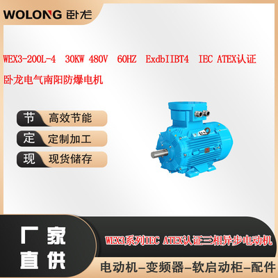 WEX3-200L-430KWATEX认证电机