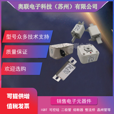 伊顿巴斯曼170M系列 70M6084 170M6085 170M6086 170M6087熔断器1