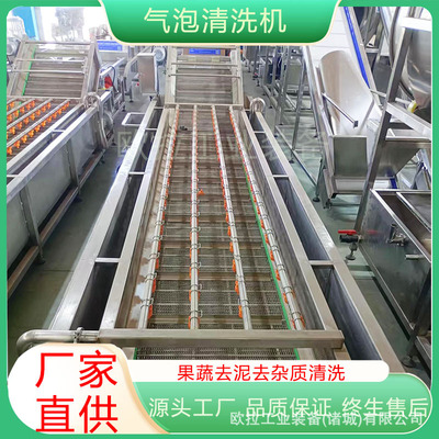辣椒黄瓜西红柿清洗机 高压喷淋 不锈钢材质 气浪翻滚 清洗更洁净