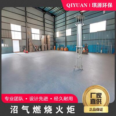 不锈钢沼气火炬琪源环保污水处理废气燃烧设备自动点火燃烧火炬塔