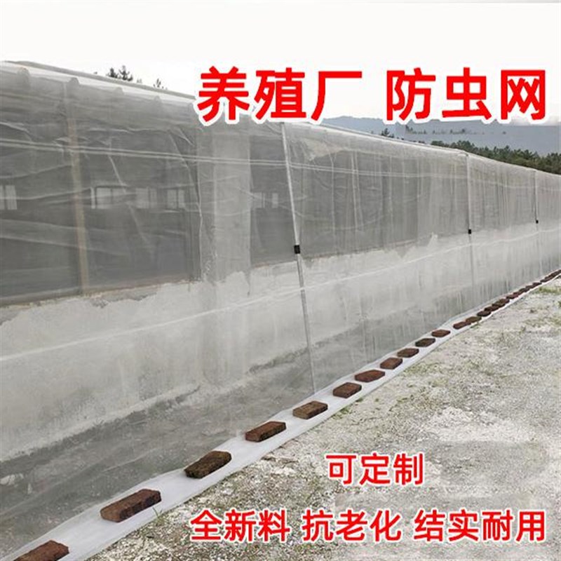 加厚加密大棚专用防虫网农用蔬菜果树园抗老化养殖围网防蚊纱网
