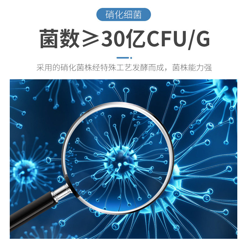 硝化细菌水产养殖专用降氨氮亚硝酸盐调节水质硝化菌鱼缸净水剂
