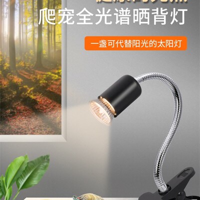 小乌龟灯晒背灯三合一龟用背照灯架uva+uvb灯爬宠全光谱太阳灯泡
