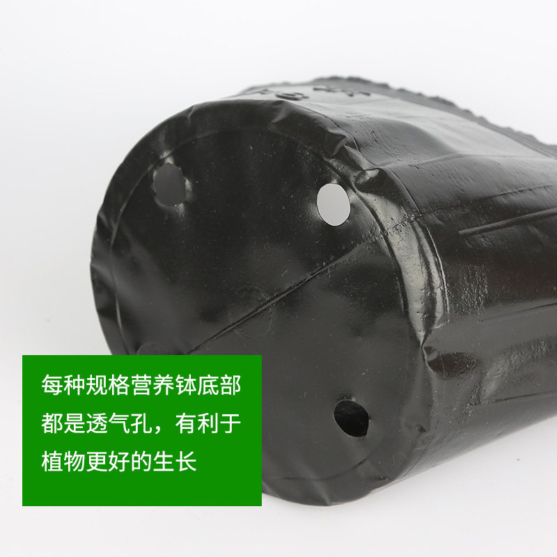 一次性花盆双色育苗盆异性营养钵黑色加厚袋穴盘种植盘大号杯塑料