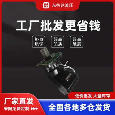 厂家直销力度克液压泵柱塞泵XPi80吊车吊机环卫勾臂车随车吊泵