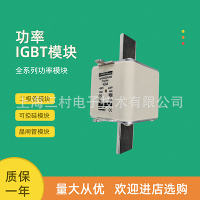 全新熔断器保险丝NH2UD69V700PV J320490 NH3UD69V315PV F320579