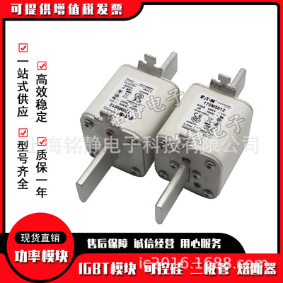 170M5738 170M5739 170M5740 170M5741 170M5742巴斯曼熔断器现货
