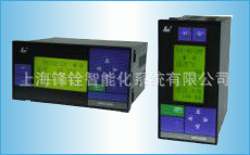 SWP-LCD-NLT802-01-AAG-HL流量计