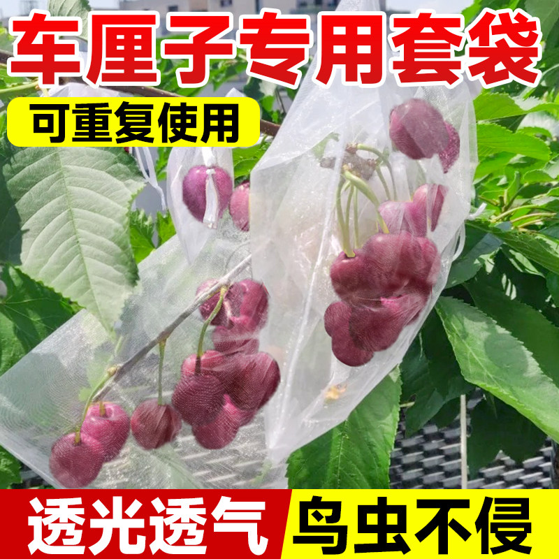 车厘子专用套袋神器樱桃套袋子专用袋水果套袋果袋防虫防鸟纱网袋