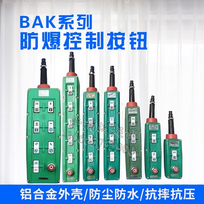 电动葫芦防爆隔爆控制手柄按钮开关 BAK21/31/41/51控制手柄