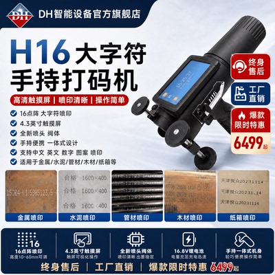 DH东晖H16大字符喷码机高精度