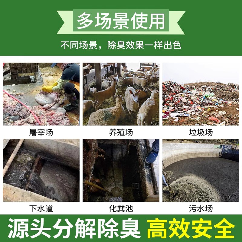 植物除臭剂养殖场垃圾去氨气工业污水化粪池喷淋塔微生物除异味液