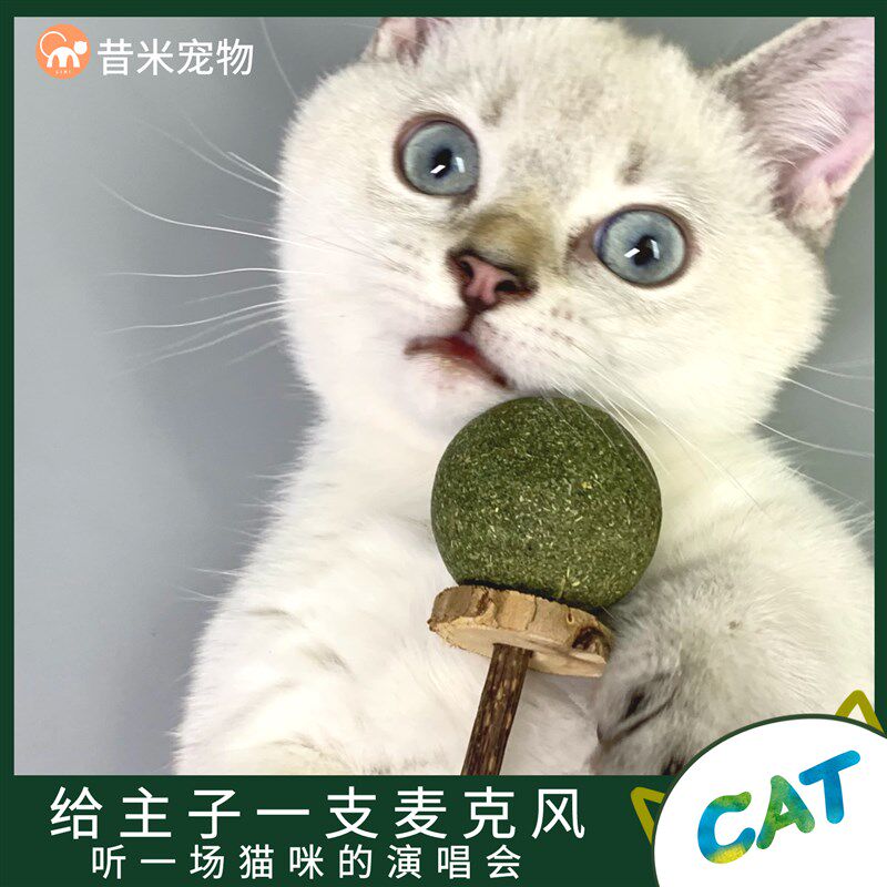 磨牙棒猫木天蓼猫薄荷解闷自嗨洁齿啃咬棒宠物玩具猫咪逗猫棒玩具