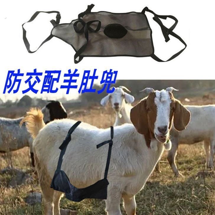 新品羊肚兜草原畜牧养殖物资羊肚兜防公羊爬母羊肚兜畜牧养殖技术
