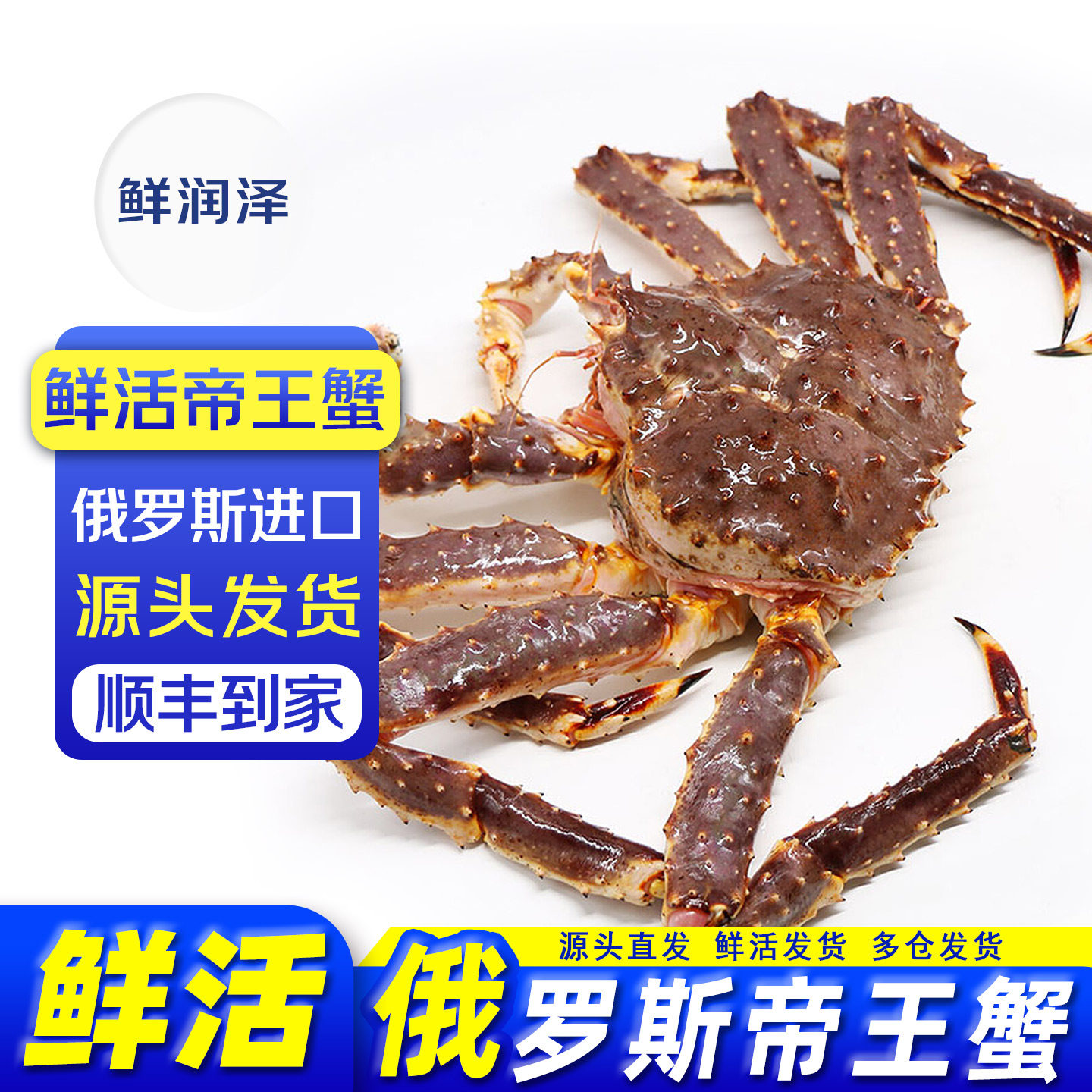 鲜润泽俄罗斯鲜活帝王蟹阿拉斯加进口皇帝蟹多仓发货长脚蟹