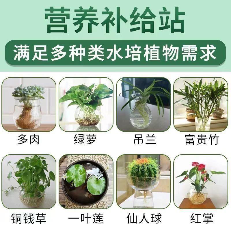 鲜花保鲜片水培植物专用净水片富贵竹碗莲净水保鲜花卉保鲜剂