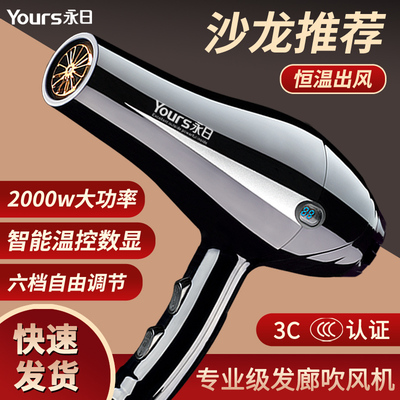 永日专业大功率发廊电吹风机LED液晶温控数显恒温低噪音电吹风筒