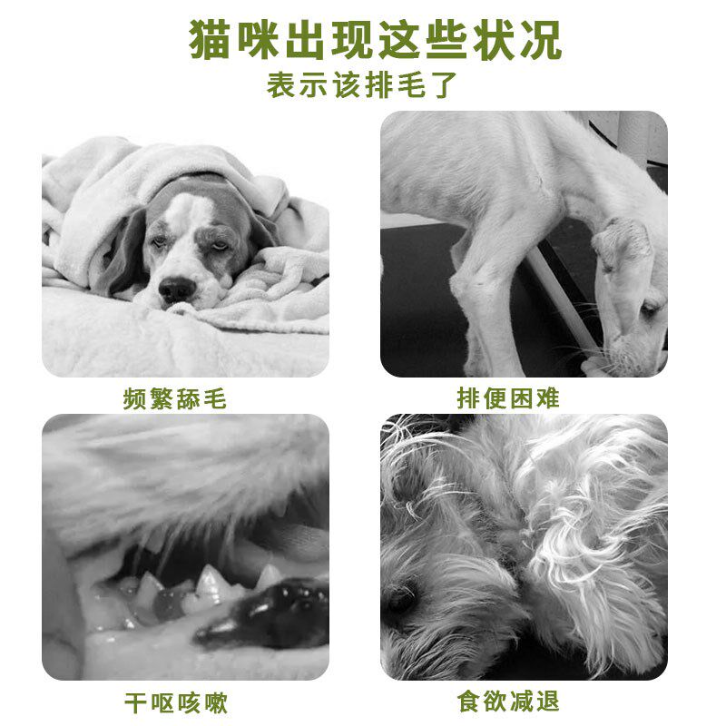 杰羚猫草片化毛球片猫咪去毛球狗狗通用消化吐毛排毛宠物化毛膏