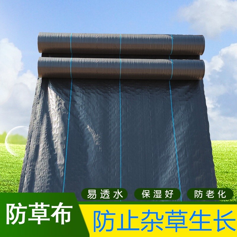 防草布除草布果园盖草膜保湿布果树园艺地布钉抗老化农用遮草地布