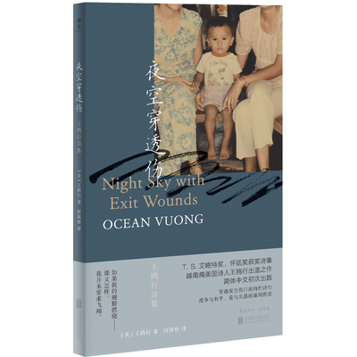 正版新书 夜空穿透伤 王鸥行诗集 (美)王鸥行 著 何颖怡 译 北京联合出版公司