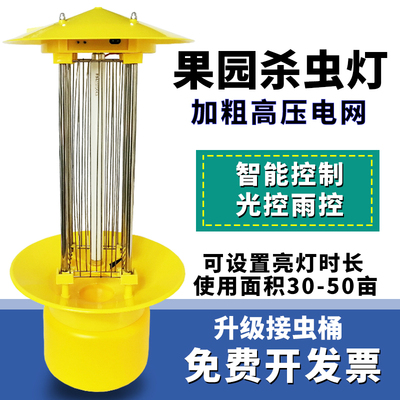 羞怯的