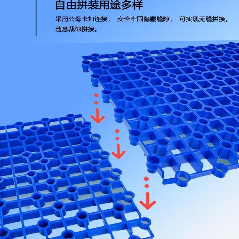 鱼缸底滤板隔板水族箱滤材垫板防死水鱼缸网格过滤垫乌龟晒台造景