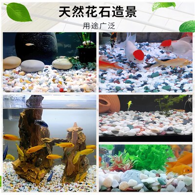 天然彩石多肉盆栽铺面石子鹅卵石鱼缸造景底砂种花装饰五彩小石头
