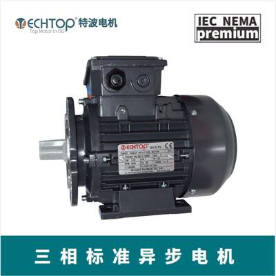 TECHTOP特波NEMA三相铝壳电机7.5W4PIE3/IE4/IE5能效标准UL