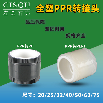 全塑PPR转换接头PE/PERT转换接头配件PPR管转地暖管直接接头管件