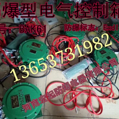 宏起隔爆型电器控制箱 BDK61CT4防爆电器控制箱 防尘防爆电控箱